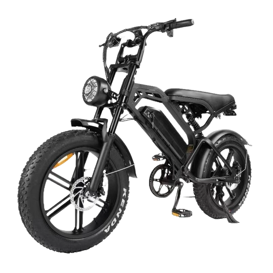 V20 Pro Fatbike | 2024 | Zwart | Telefoontas | Voetsteunen – Fatbikes ...